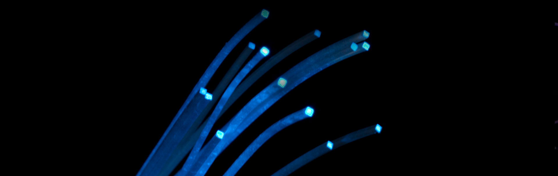 Homepage - Zsquare - Ultra Thin Endoscopy